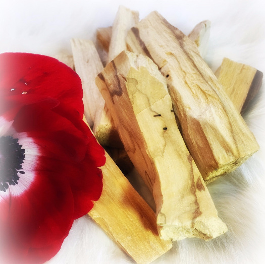 Sacred Tools – Cultus Infinitum